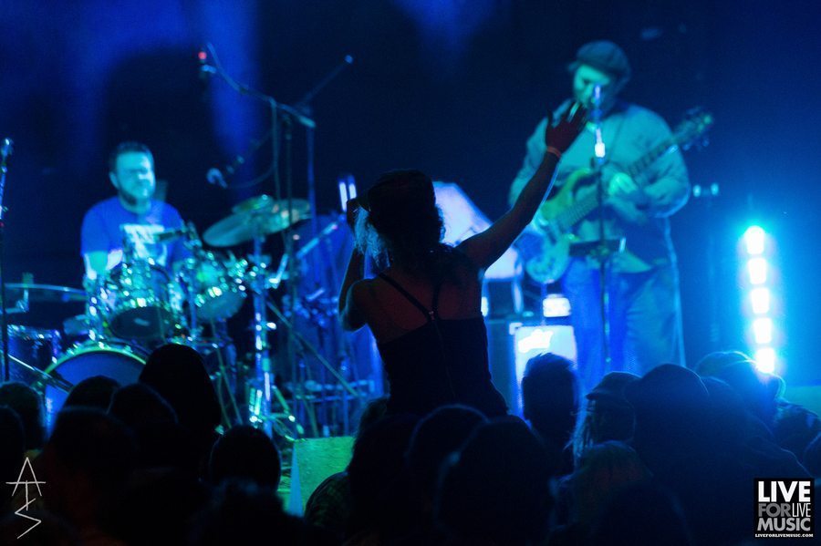 Pink Talking Fish Honors Allen Toussaint, Welcomes Hayley Jane At Dead ...