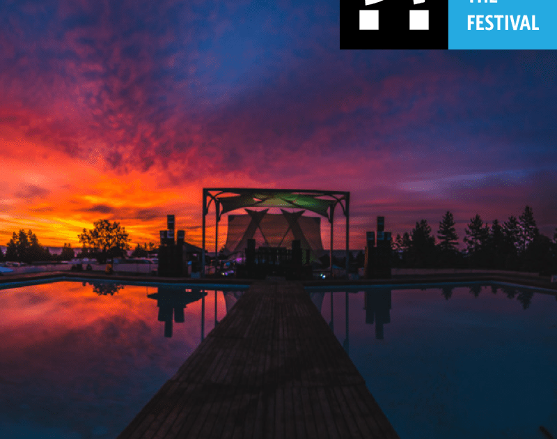 What The Festival Announces Diverse 2016 Lineup