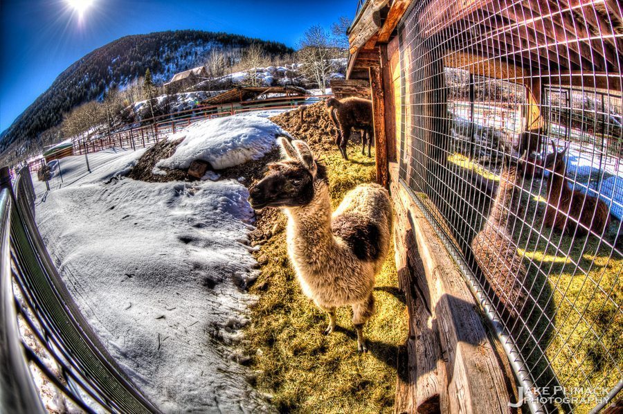 Umphrey's McGee Captivates With Three Sold Out Nights In Aspen, CO ...