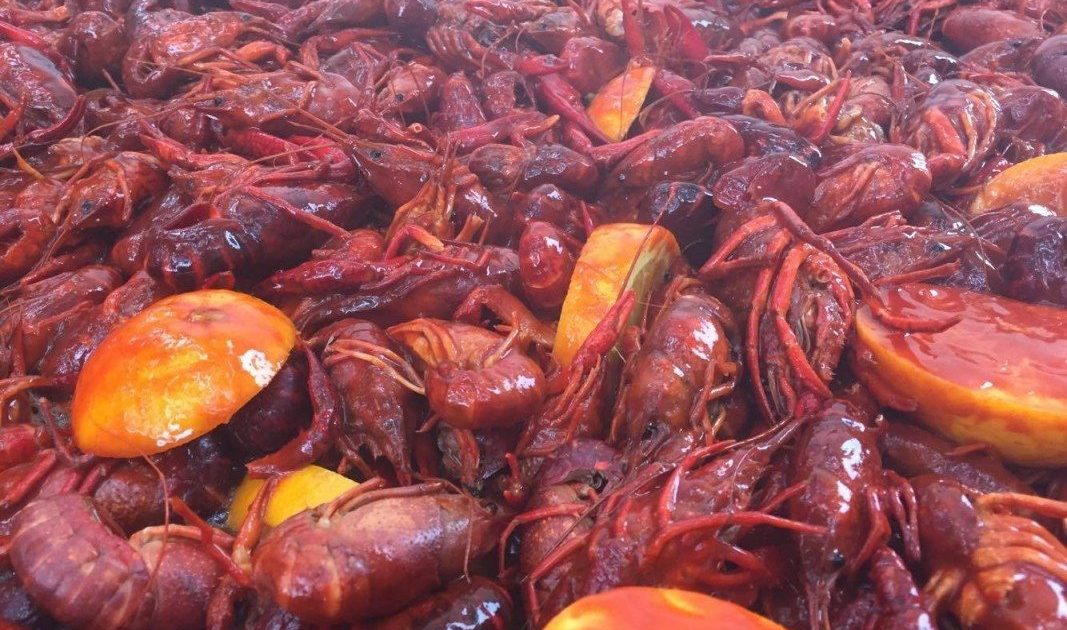 Local Musicians And Award-Winning Chefs To Judge NOLA Crawfish Fest ...
