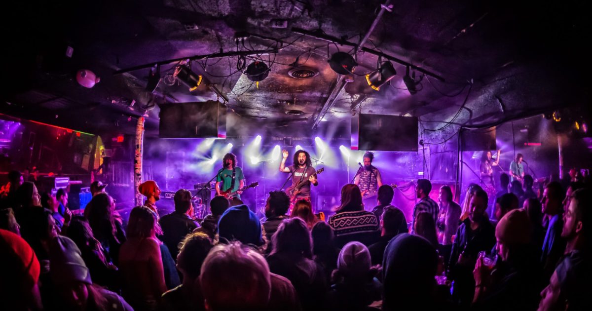 Lotus' Mike Rempel Jams With Pigeons Playing Ping Pong On New Year's ...