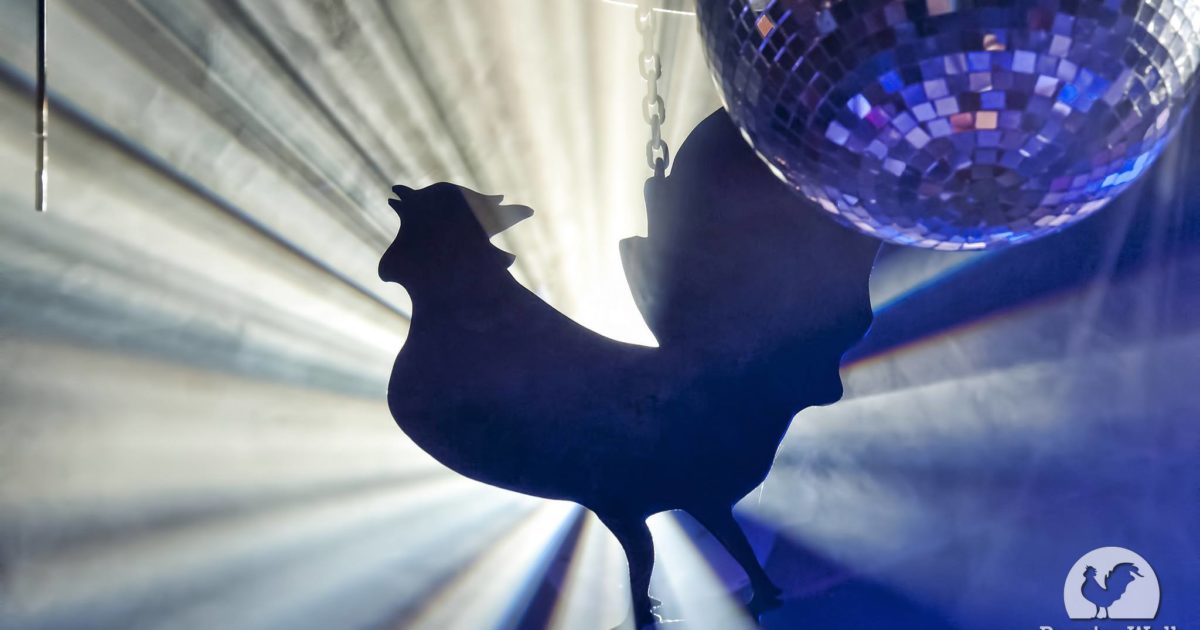 Rooster Walk Expands 2019 Lineup: Galactic, Turkuaz, BIG Something, More