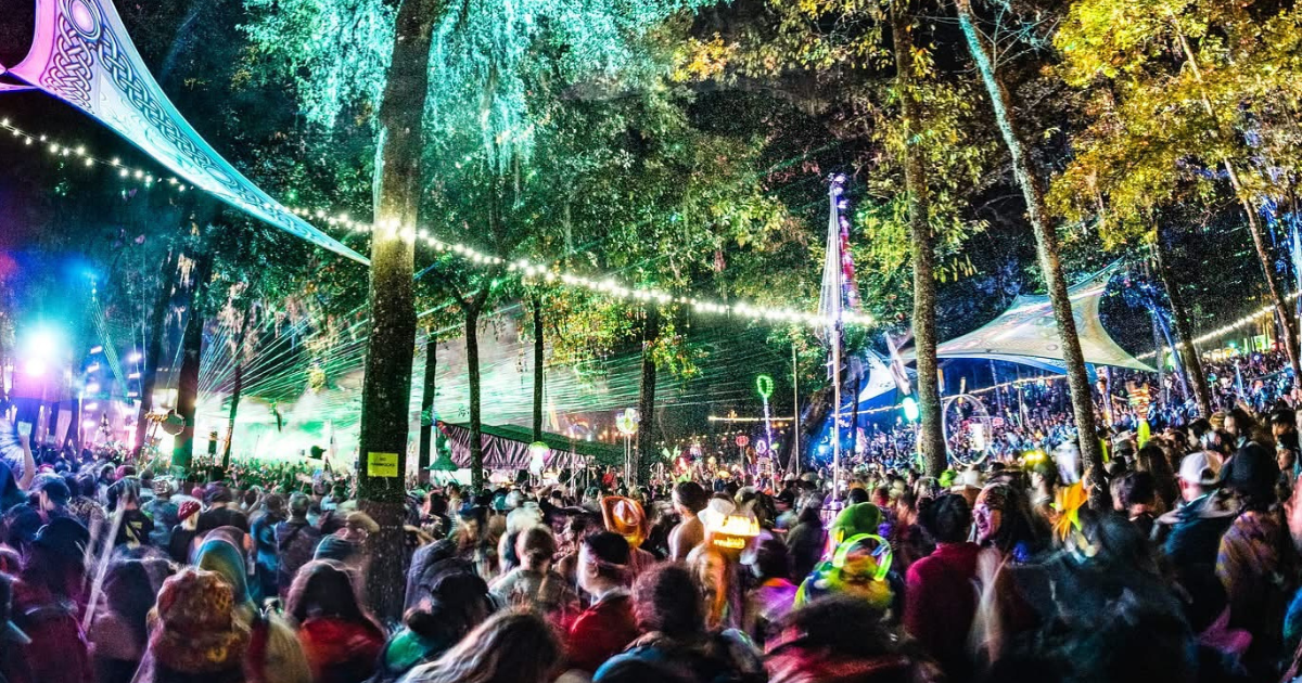 Getting Amped For Suwannee Amp Jam #1 With Paul Levine [Interview]